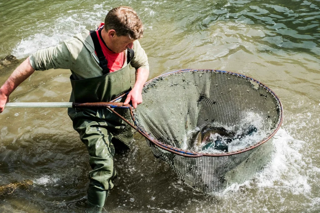 Fish Stocking - Edge's Aquatic Services